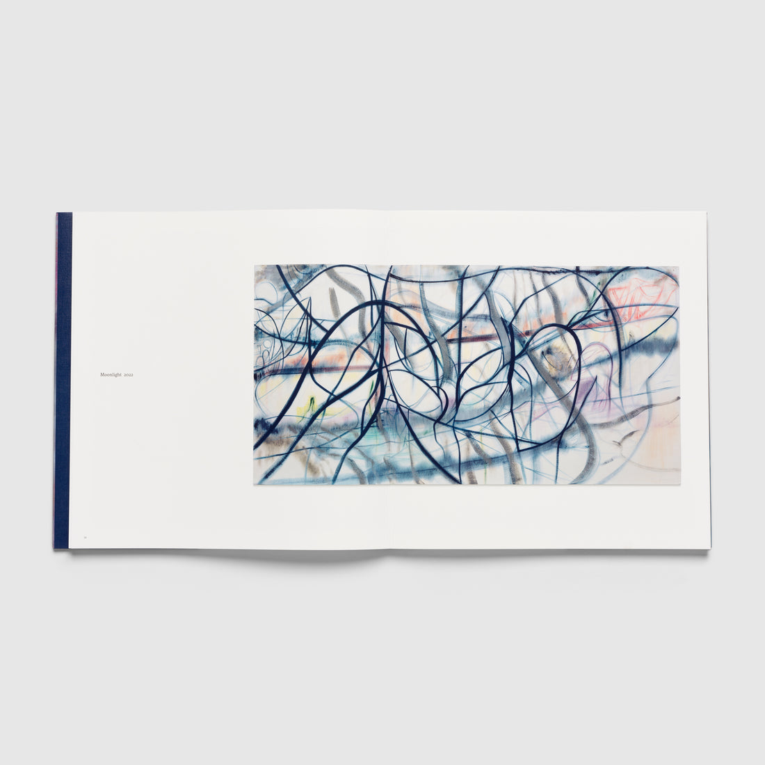 Nigel Cooke: Paintings 2019-2025 – Pace Shop